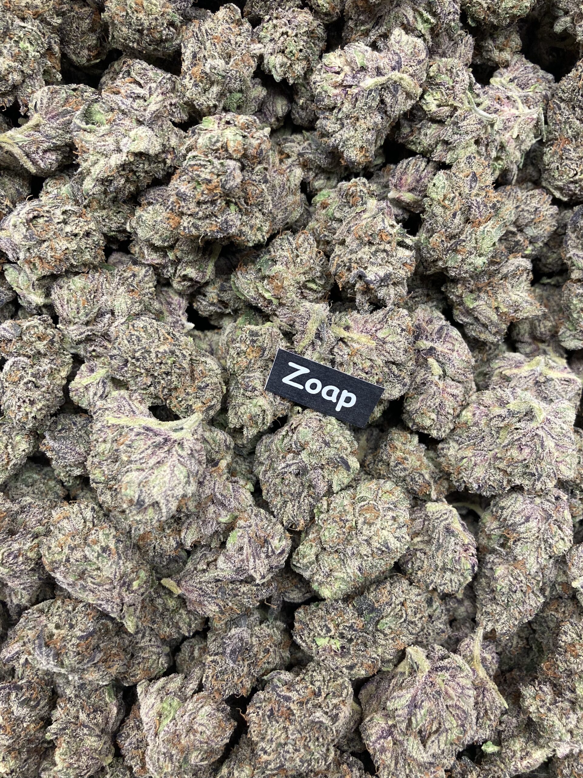 Zoap – MJ's Delivery