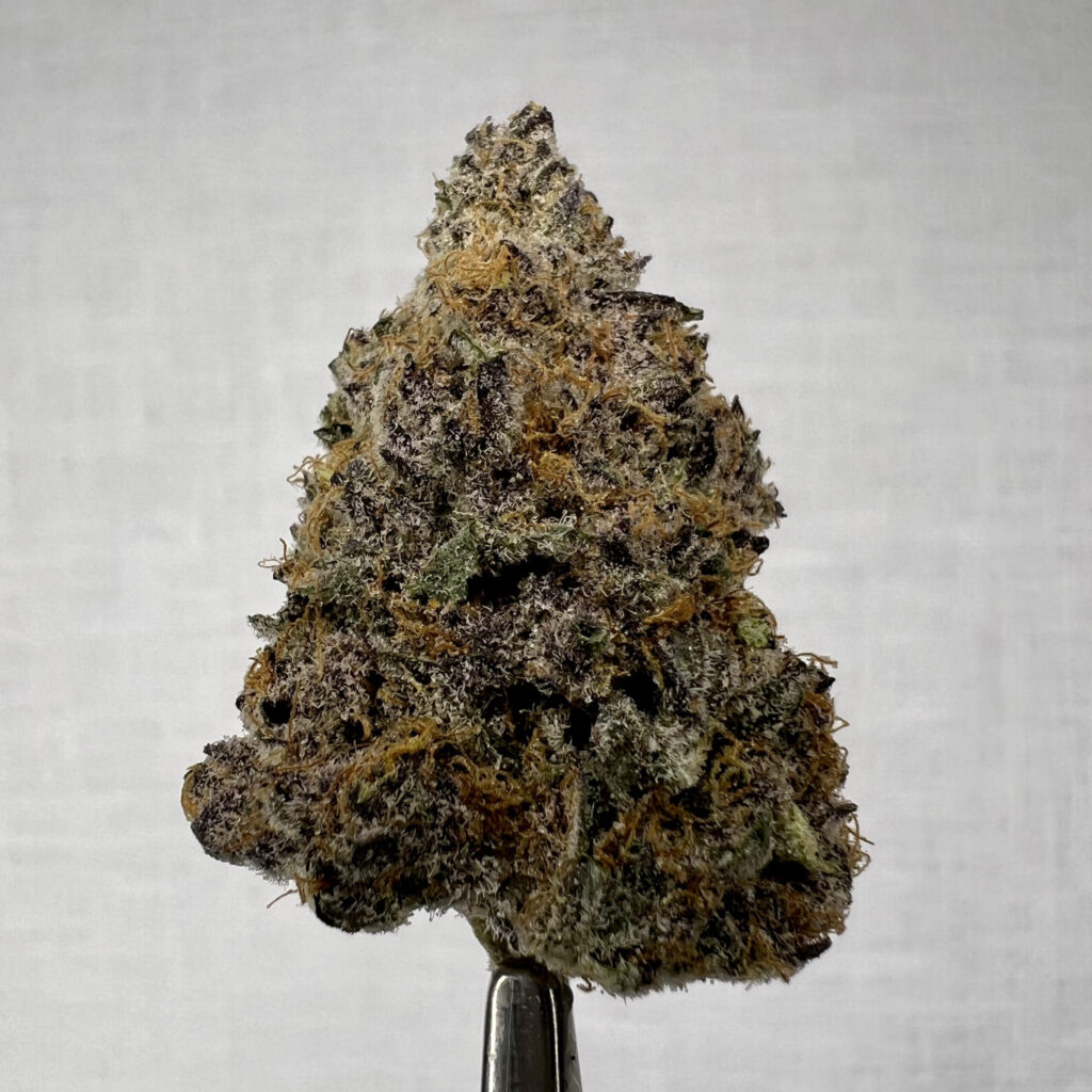 BlockBerry - MJ's Delivery